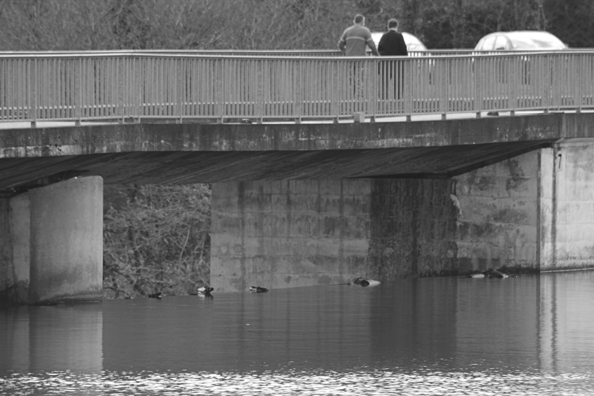 LE BARRAGE DE LA TOUCHE POUPARD (79) – Philament